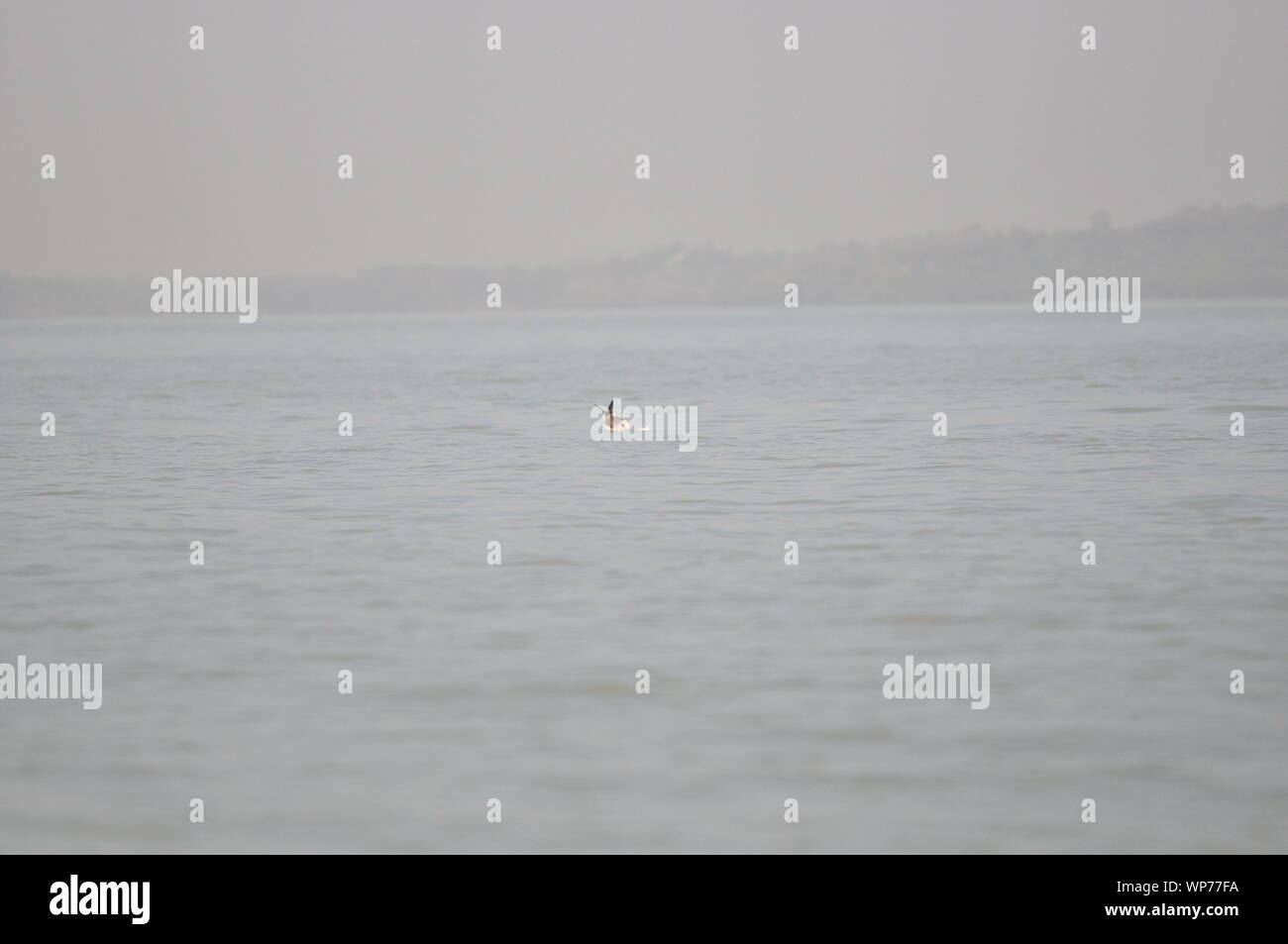 The Tana lake Stock Photo - Alamy