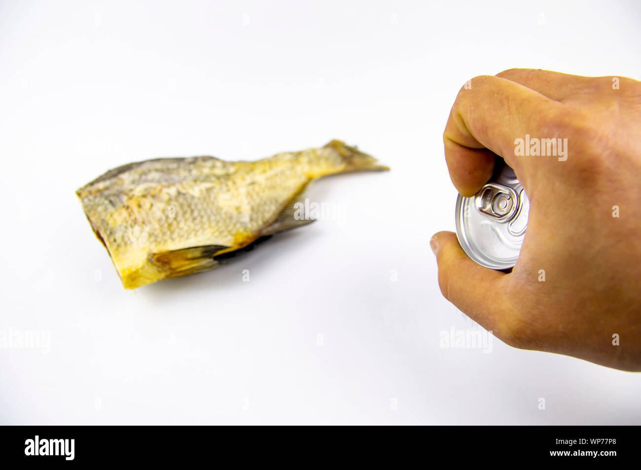 Dried fish and beer can in hand isolated on white background. Fishing ...