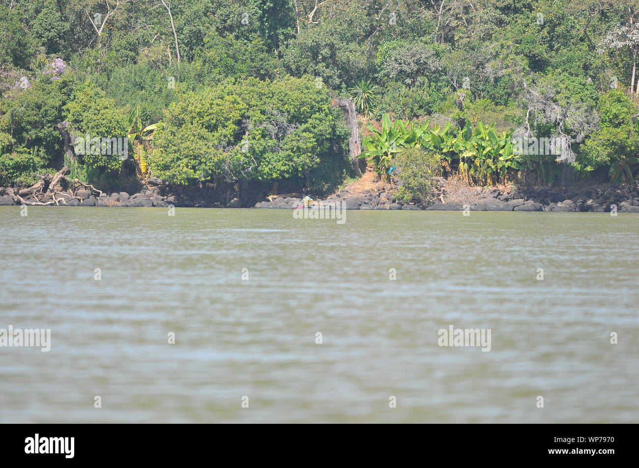 The Tana lake Stock Photo - Alamy