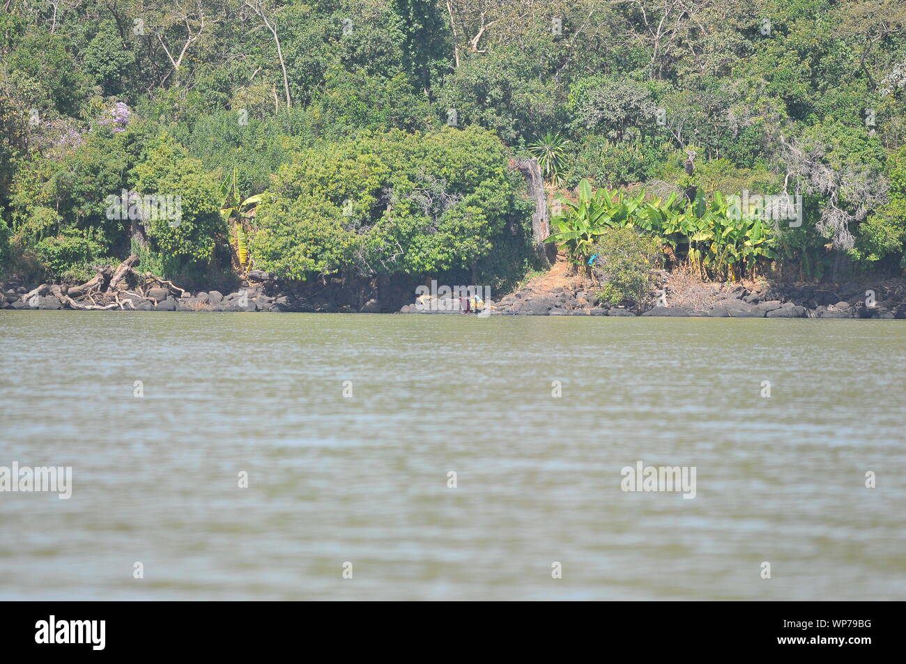 The Tana lake Stock Photo - Alamy