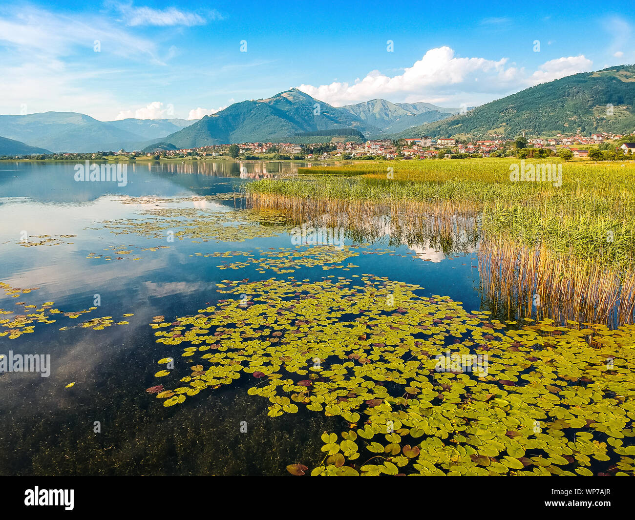 City of Plav by Plavsko lake in Montenegro, Europe Stock Photo - Alamy
