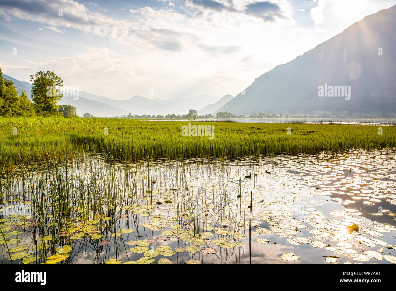 Plavsko lake in city Plav, Montenegro, Europe Stock Photo - Alamy