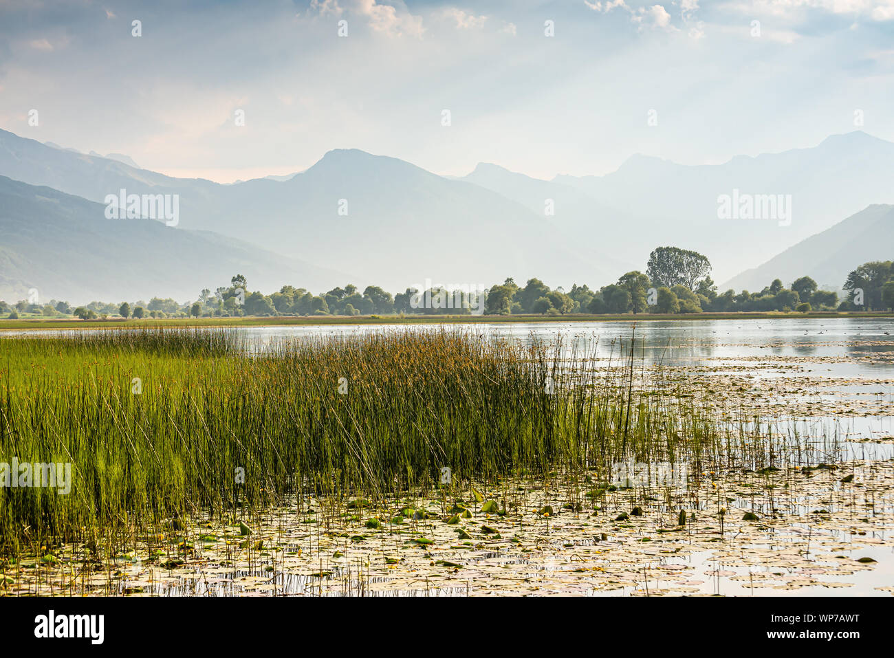 Plavsko lake in city Plav, Montenegro, Europe Stock Photo - Alamy