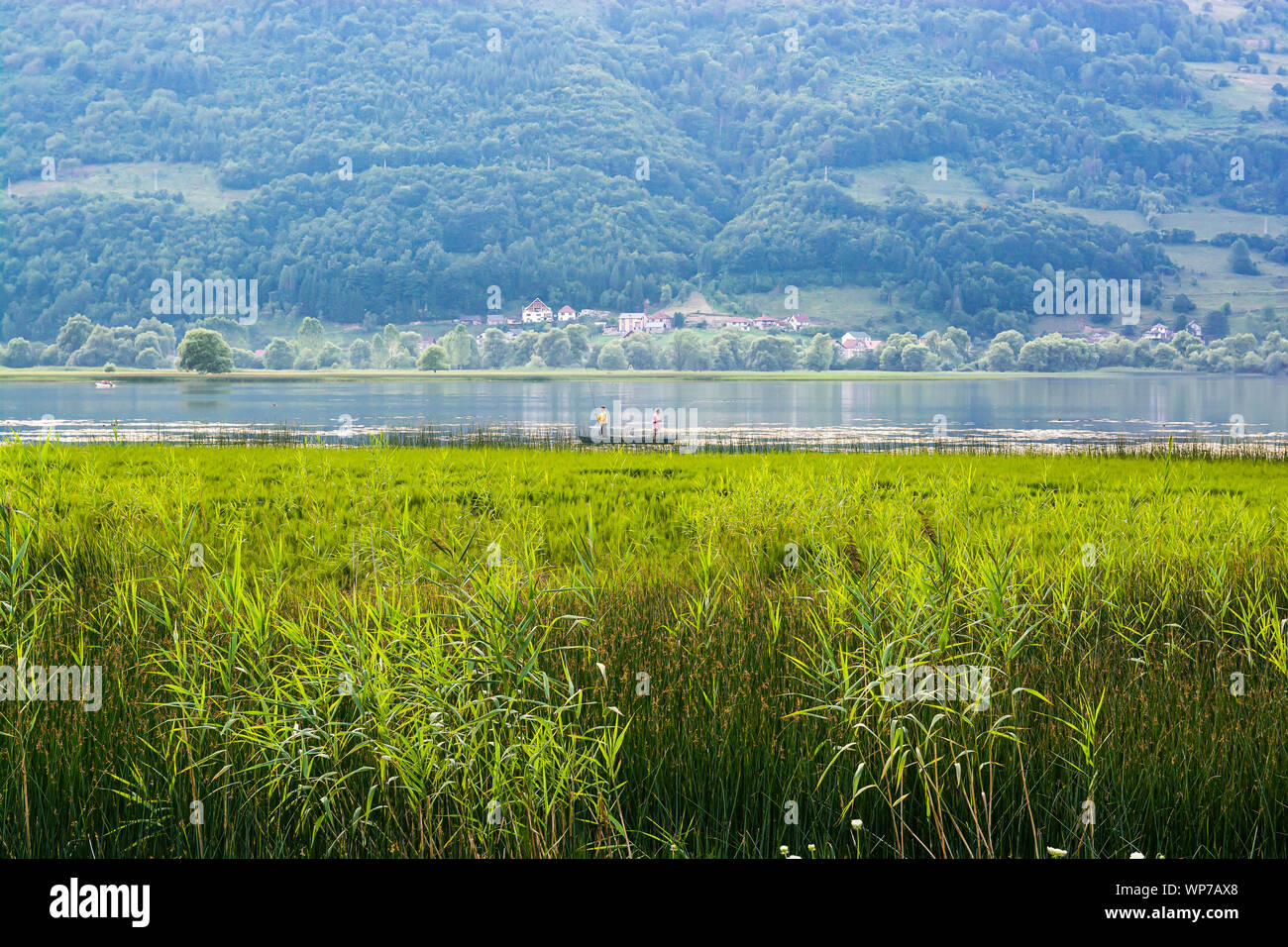 Plavsko lake in city Plav, Montenegro, Europe Stock Photo - Alamy