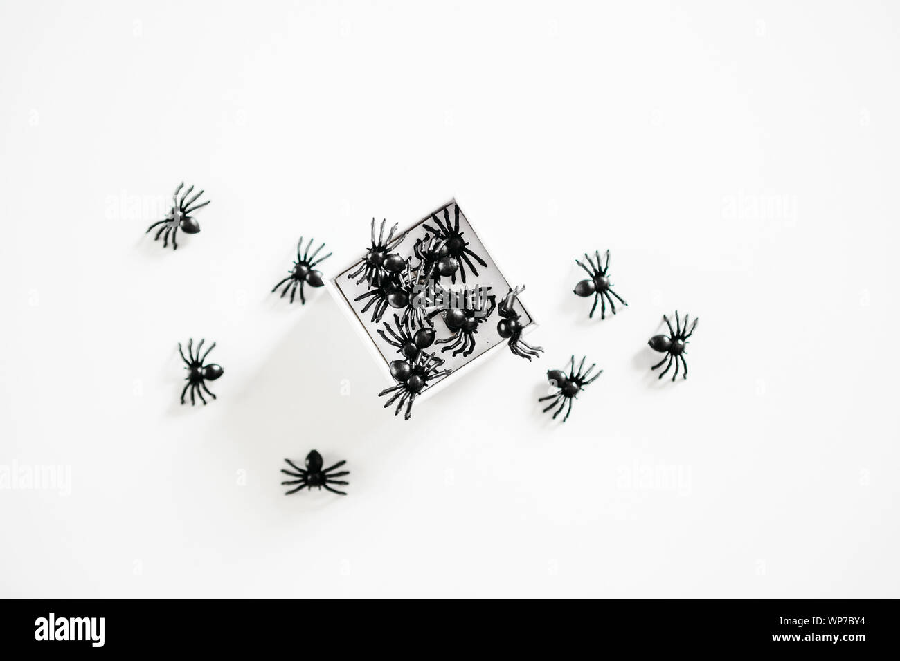 Spiders climb out of the gift box. Halloween joke or surprise Stock ...