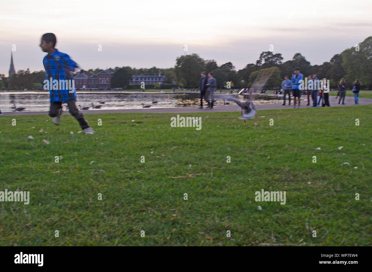 Boy being chased hi-res stock photography and images - Alamy