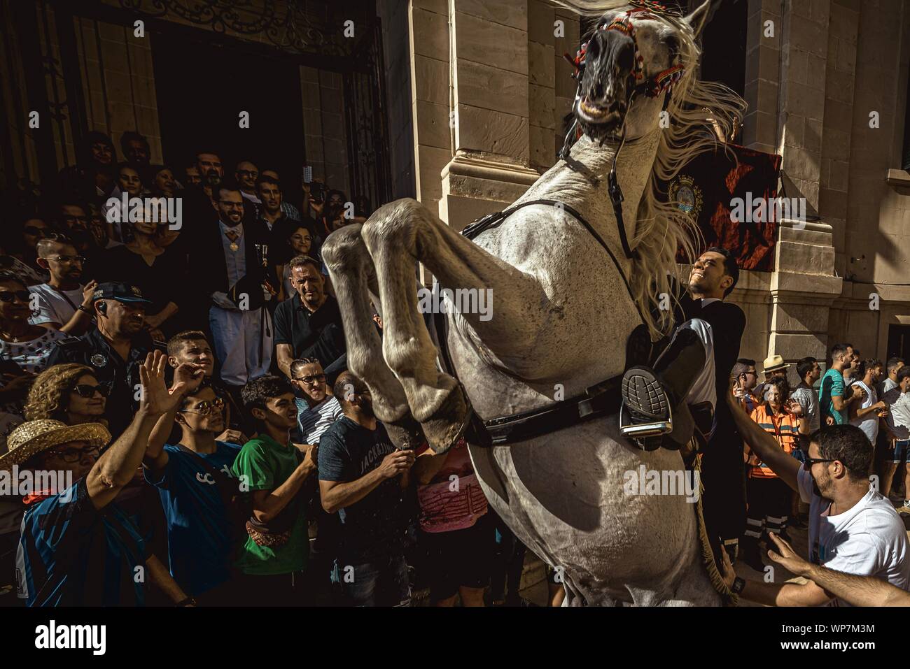 Mahon, Spain. 08th Sep, 2019. A 'caixer' (horse rider) rears up on his ...