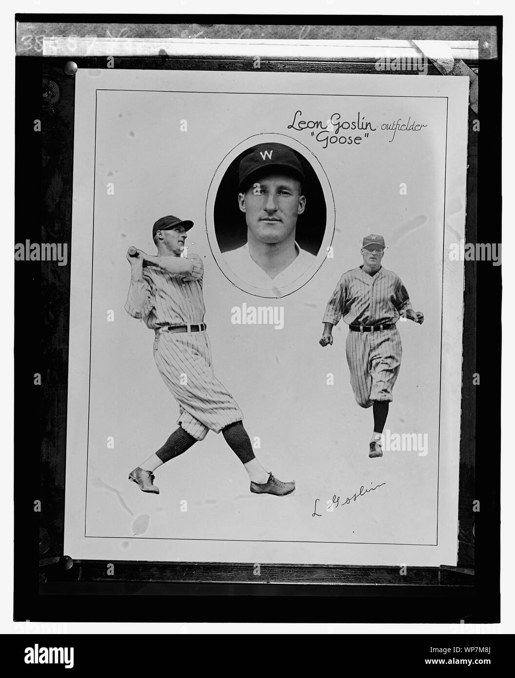 Goslin hi-res stock photography and images - Alamy