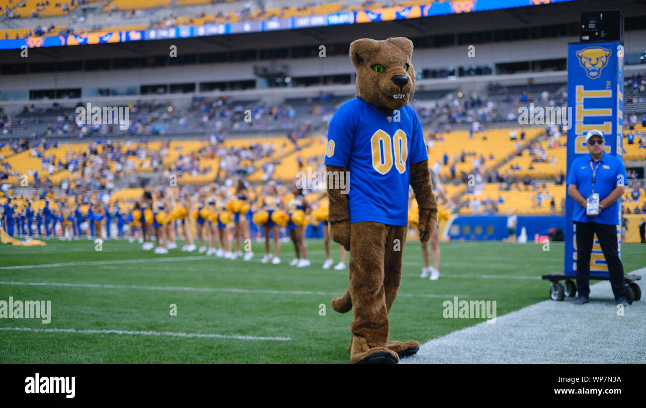 Panther mascot hi-res stock photography and images - Alamy