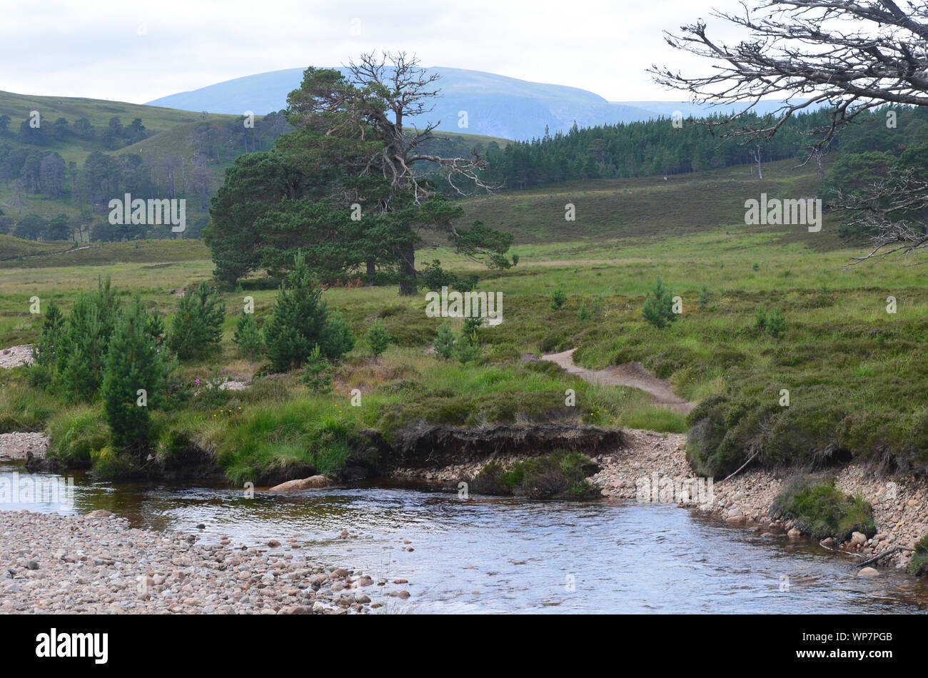 River Dee winding its way through the Lairig Ghru valley in the central ...