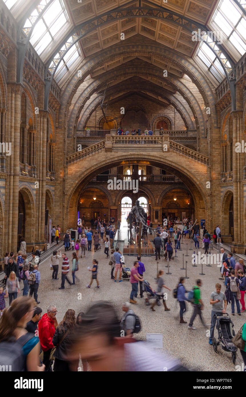 London natural history museum monkey hi-res stock photography and ...