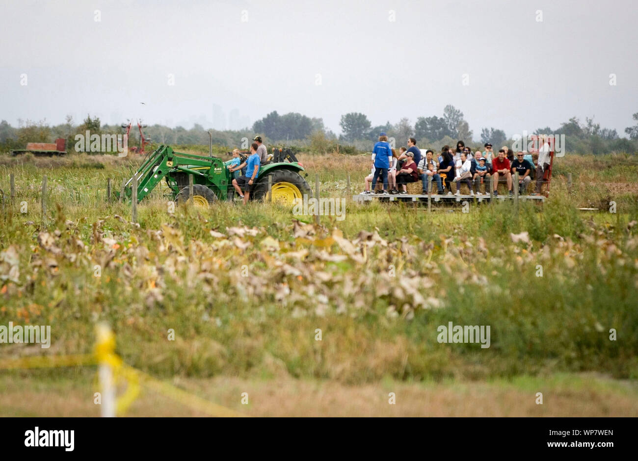 Westham island hi-res stock photography and images - Alamy