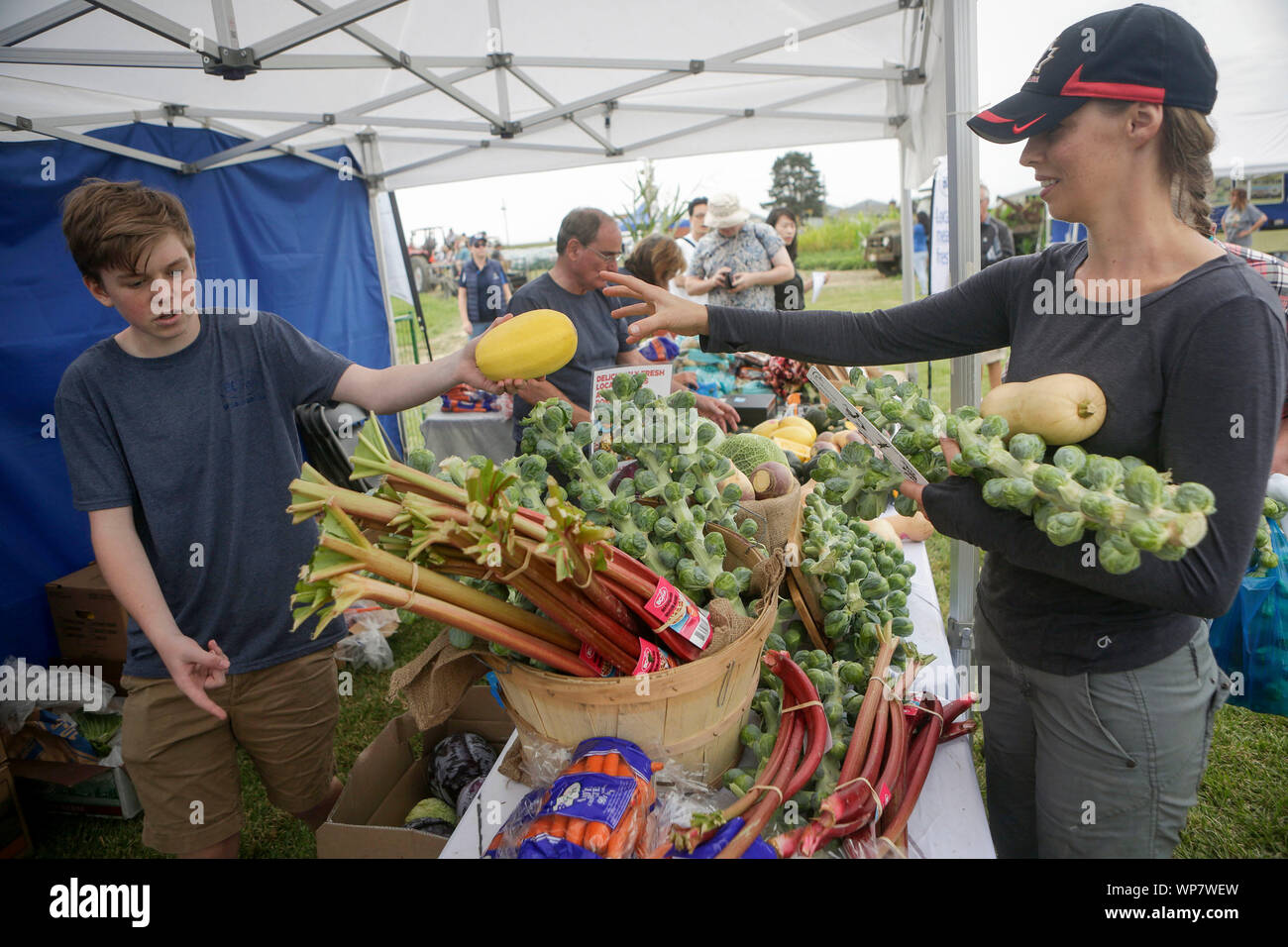 Non farm activities hi-res stock photography and images - Alamy