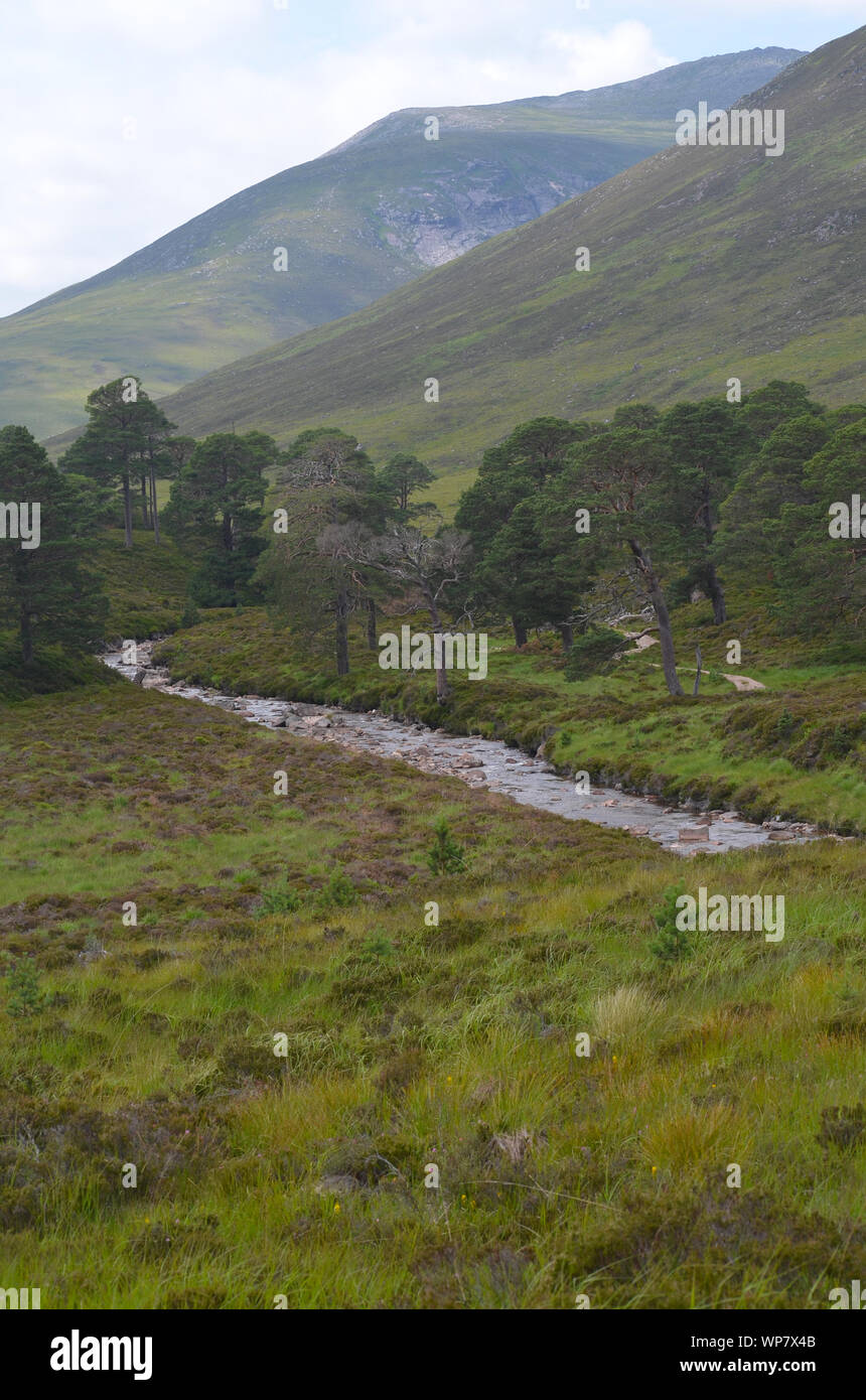 River Dee winding its way through the Lairig Ghru valley in the central ...