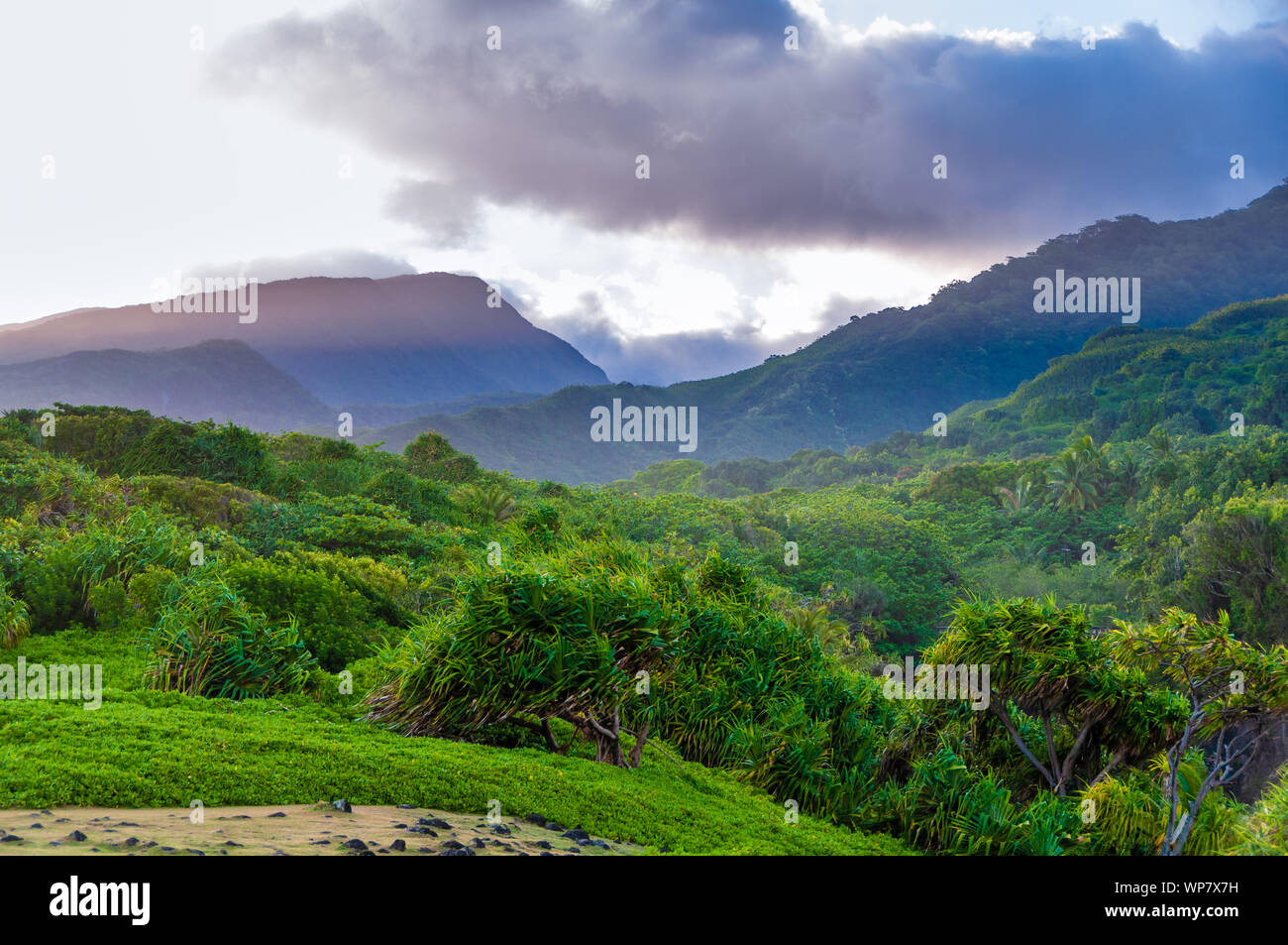 Tropical valley hi-res stock photography and images - Alamy