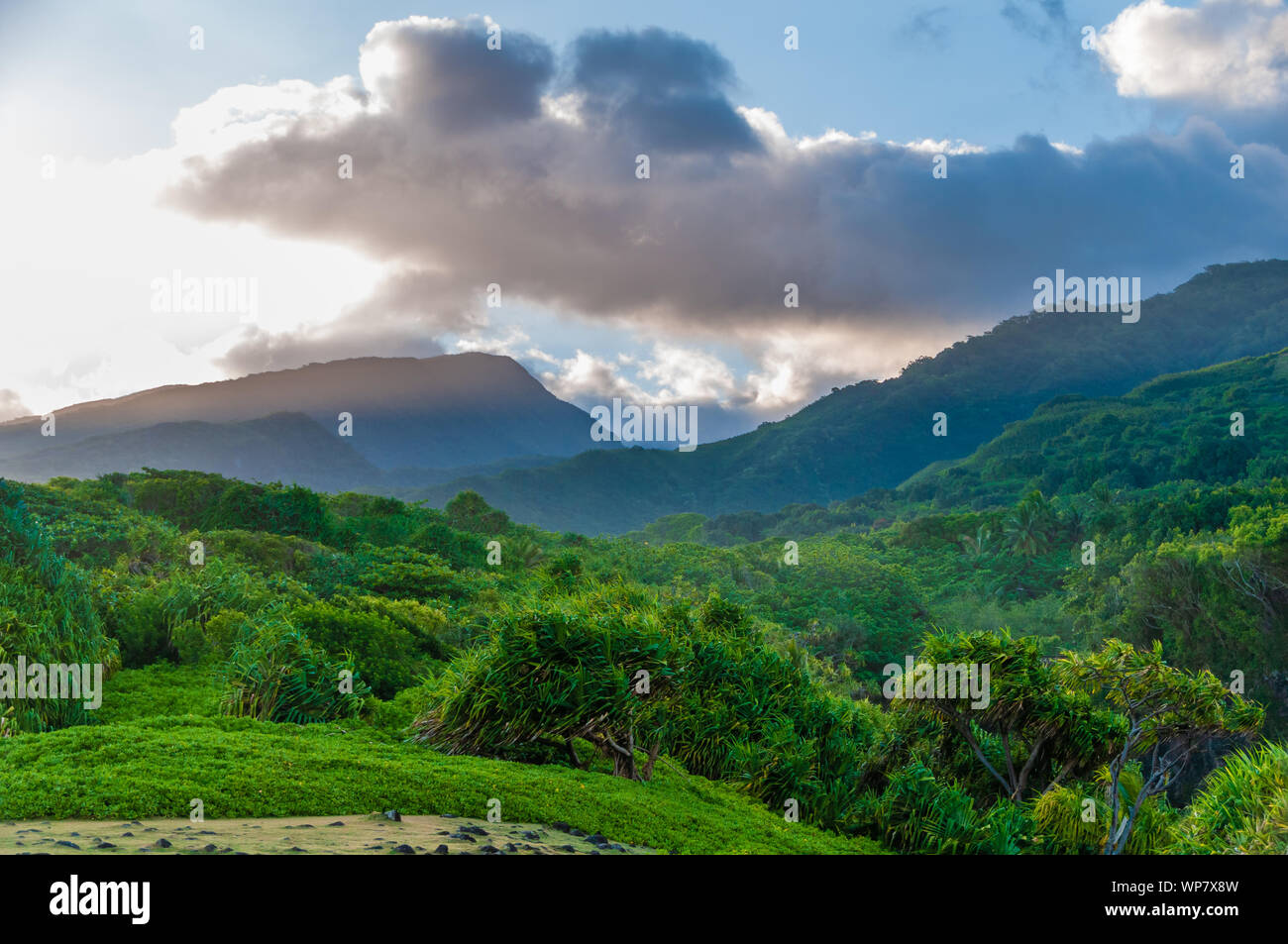 Tropical valley hi-res stock photography and images - Alamy