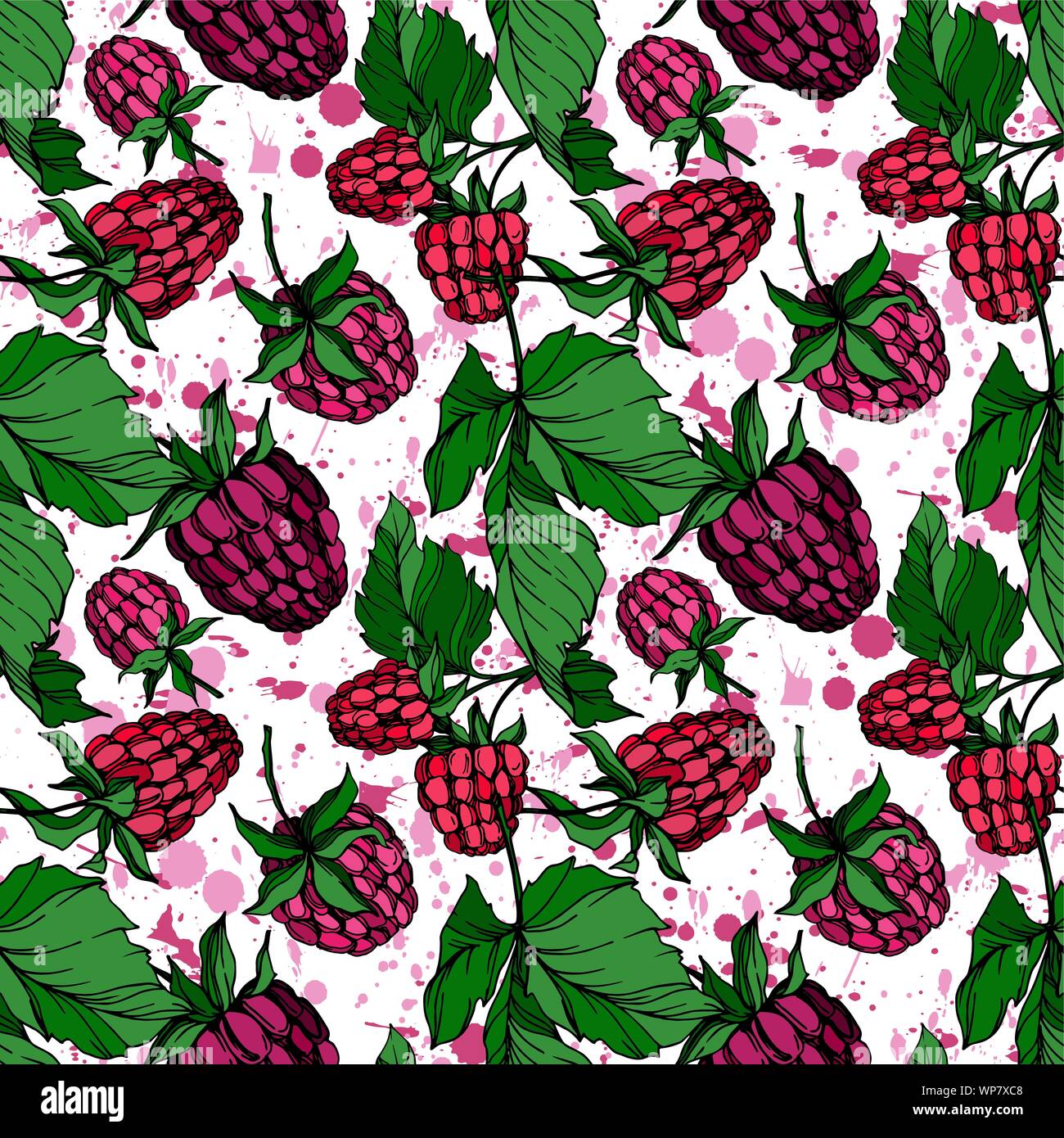 Vector Raspberry healthy food isolated. Black and white engraved ink ...