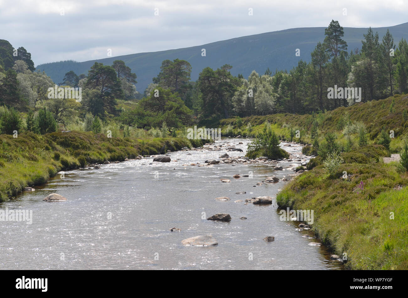 Allt druidh hi-res stock photography and images - Alamy