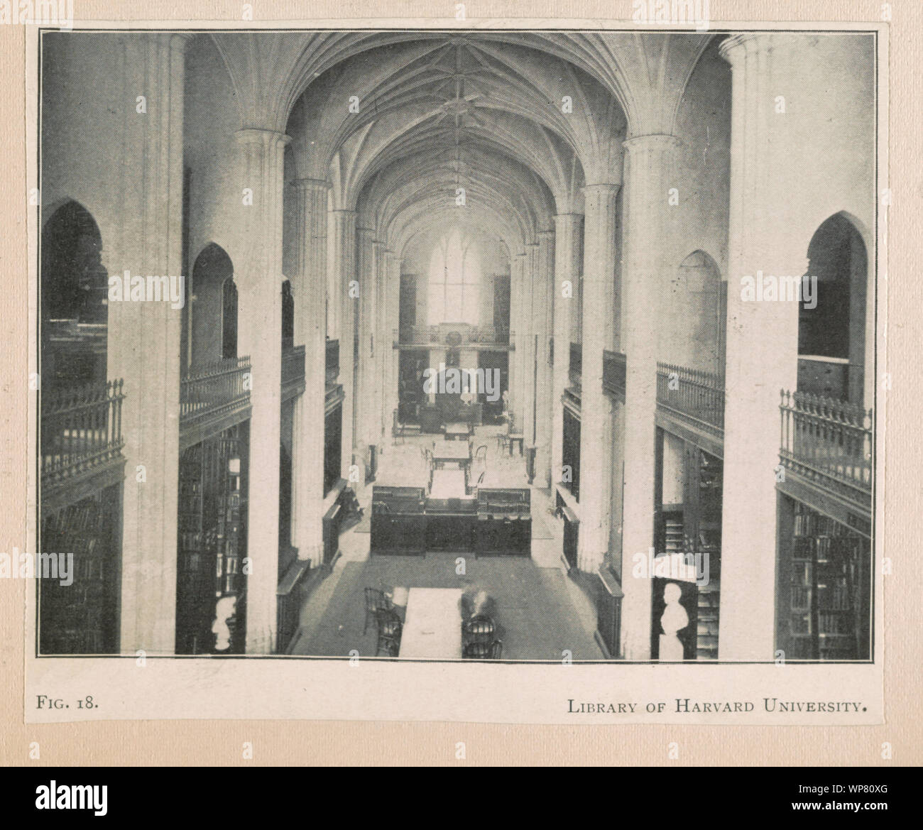 Library of Harvard University Stock Photo - Alamy