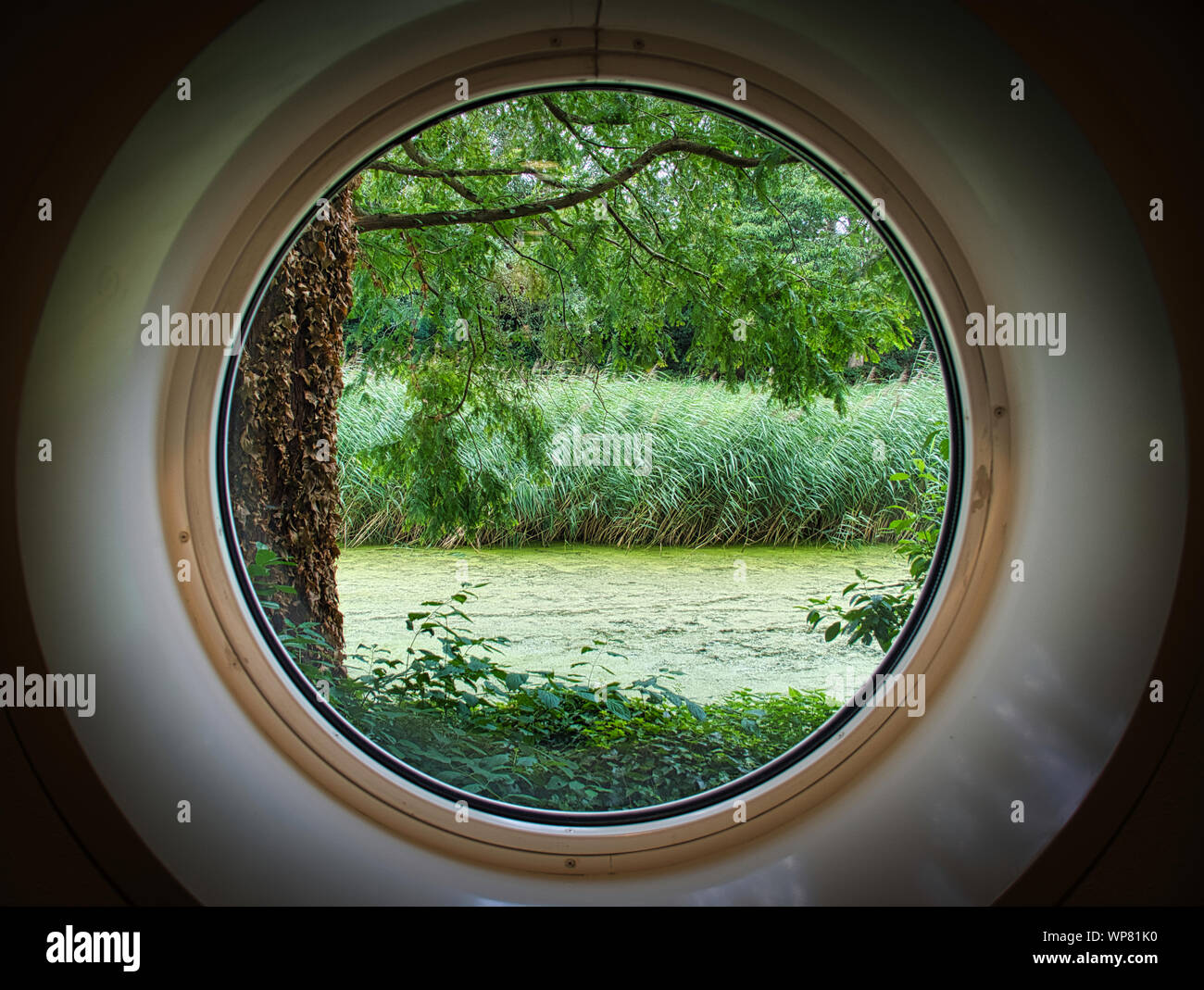 Wallpaper view hi-res stock photography and images - Alamy