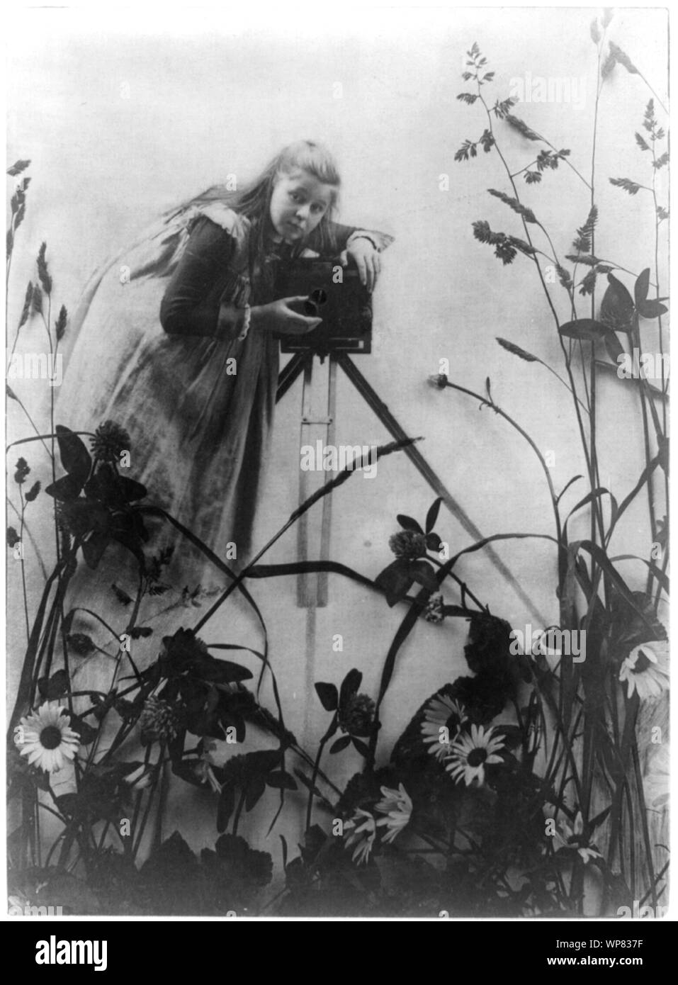 Life living environment Black and White Stock Photos & Images - Alamy