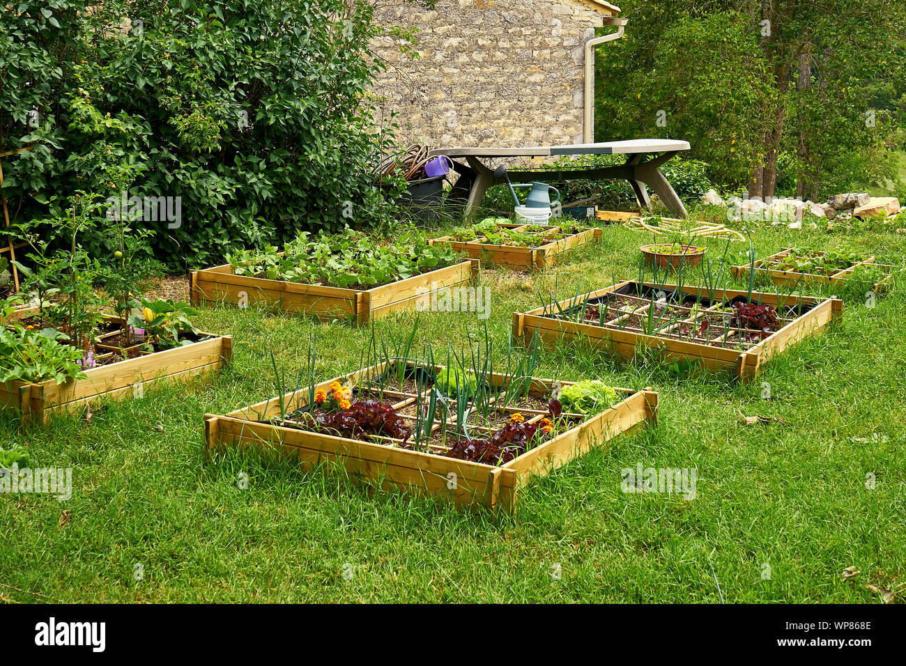 Medieval Vegetable Garden