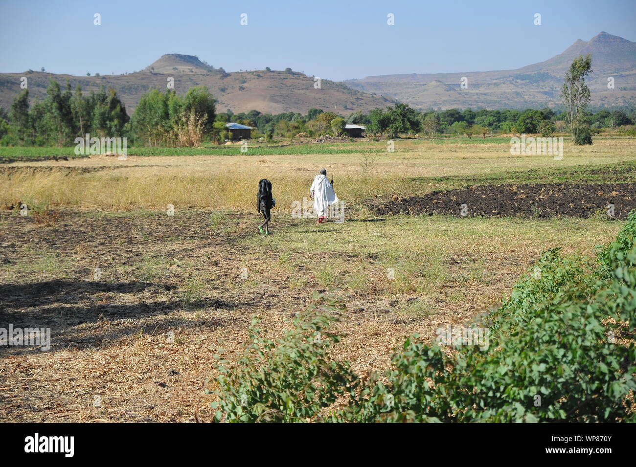 Rural ethiopian lifestyle hi-res stock photography and images - Alamy