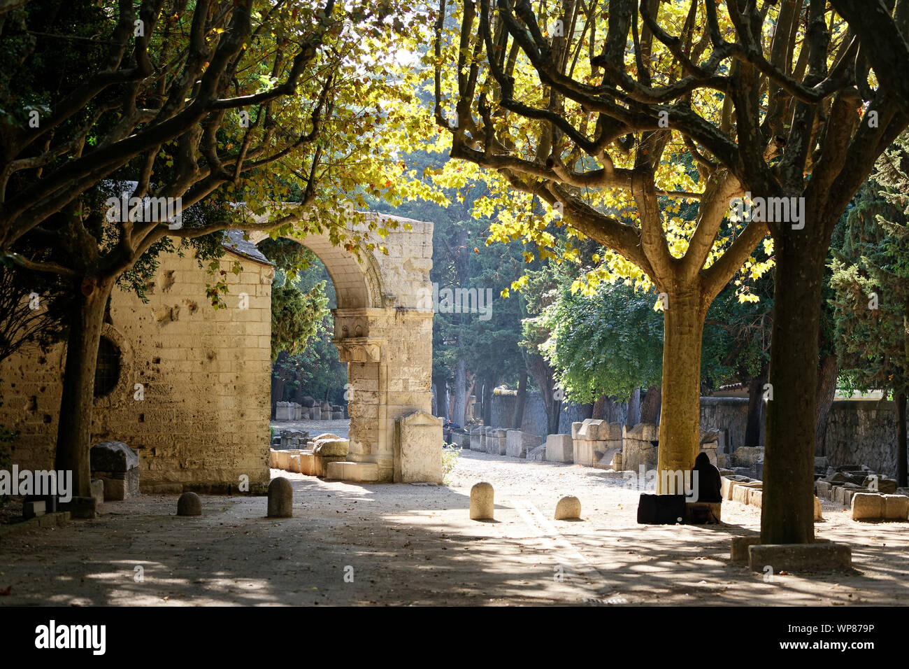 Alyscamps arles hi-res stock photography and images - Alamy