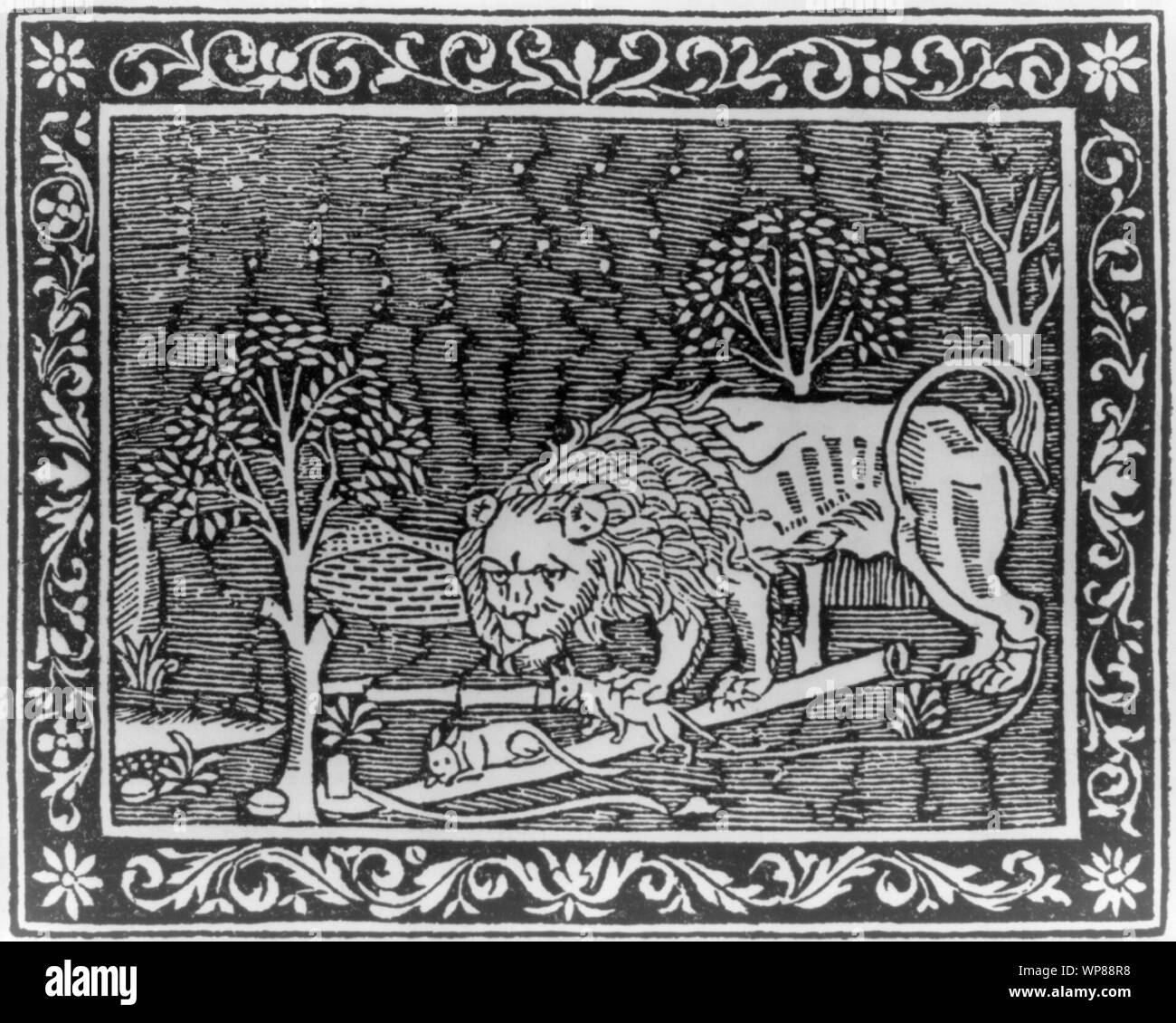 The lion and the mouse hi-res stock photography and images - Alamy