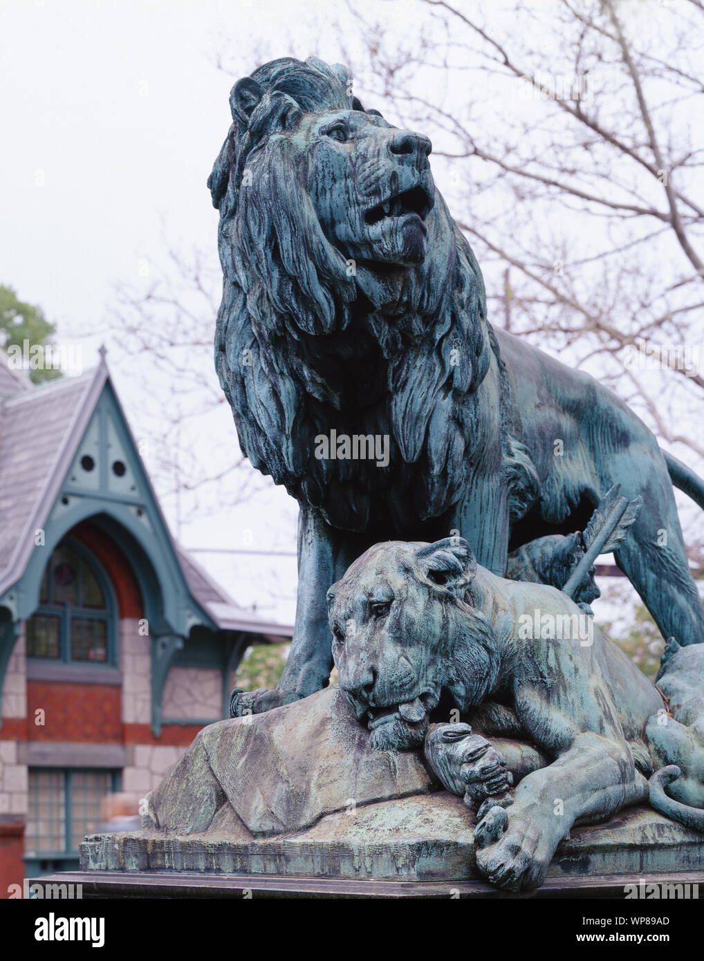 Lions statue, Philadelphia Zoo, Philadelphia, Pennsylvania Stock Photo ...