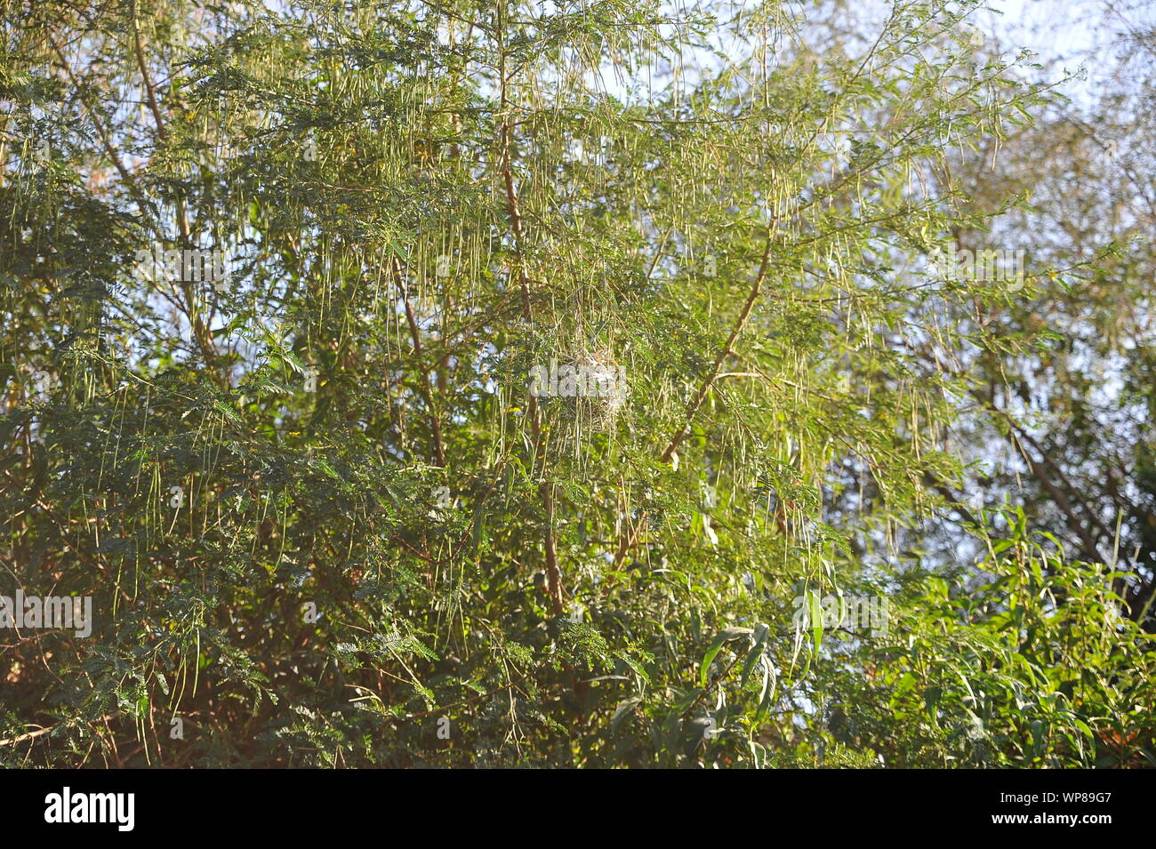 Addis ababa st george hi-res stock photography and images - Alamy