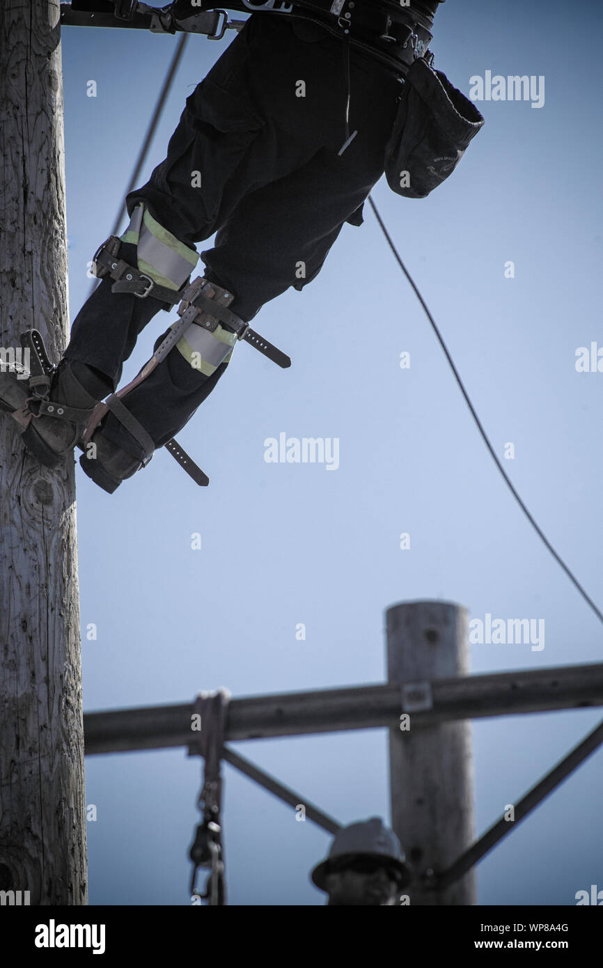 Worker climbing utility pole hi-res stock photography and images - Alamy