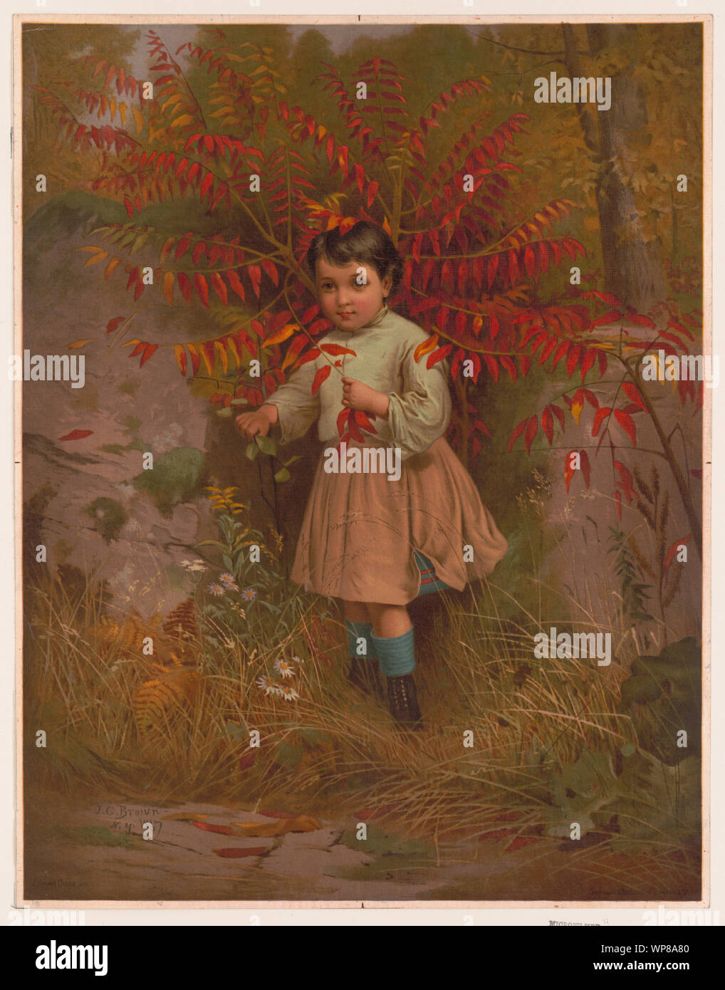 Bo brown hi-res stock photography and images - Alamy