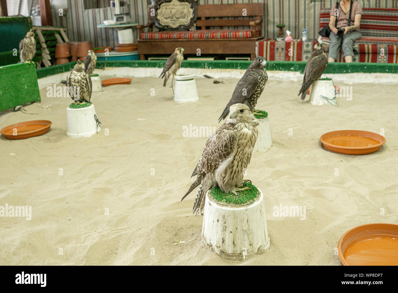 Falcon souk qatar hi-res stock photography and images - Alamy