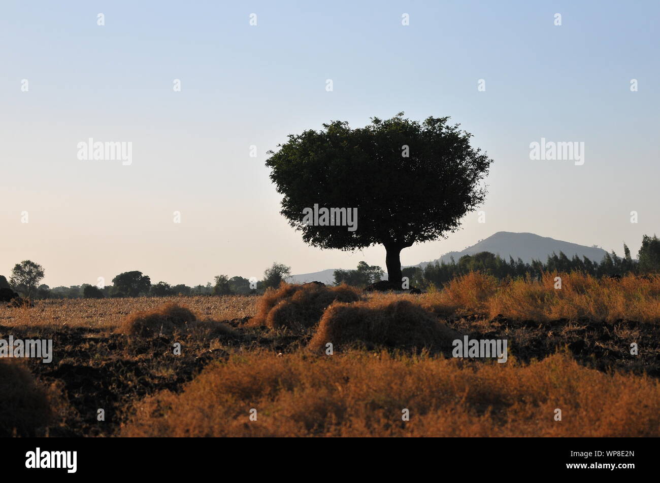Ethiopian sunrise landscape hi-res stock photography and images - Alamy