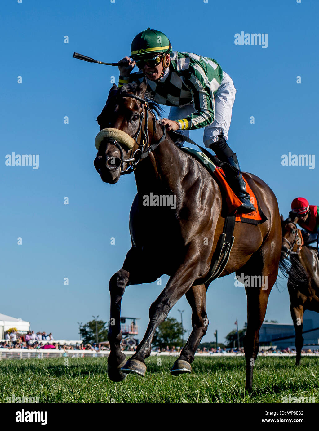 Spendthrift horse farm hi-res stock photography and images - Alamy