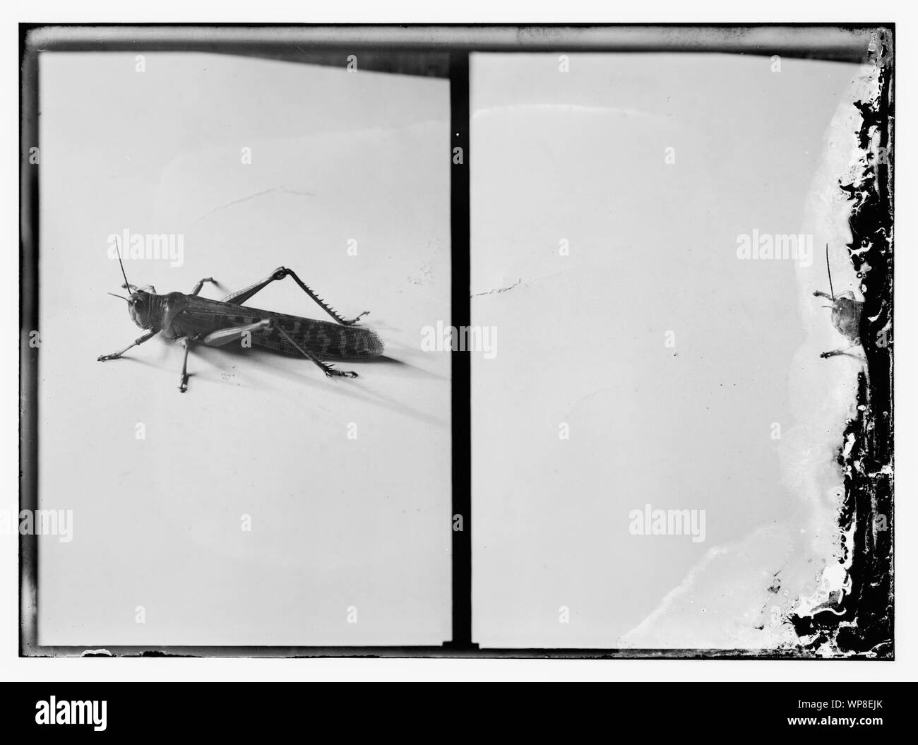 Stage life Black and White Stock Photos & Images - Alamy