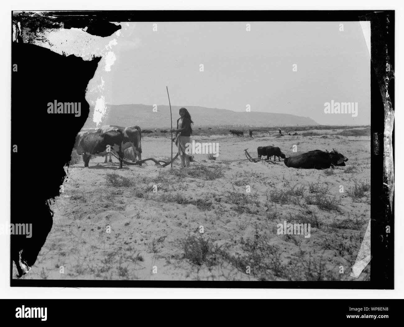 Outbreaks of plague hi-res stock photography and images - Alamy