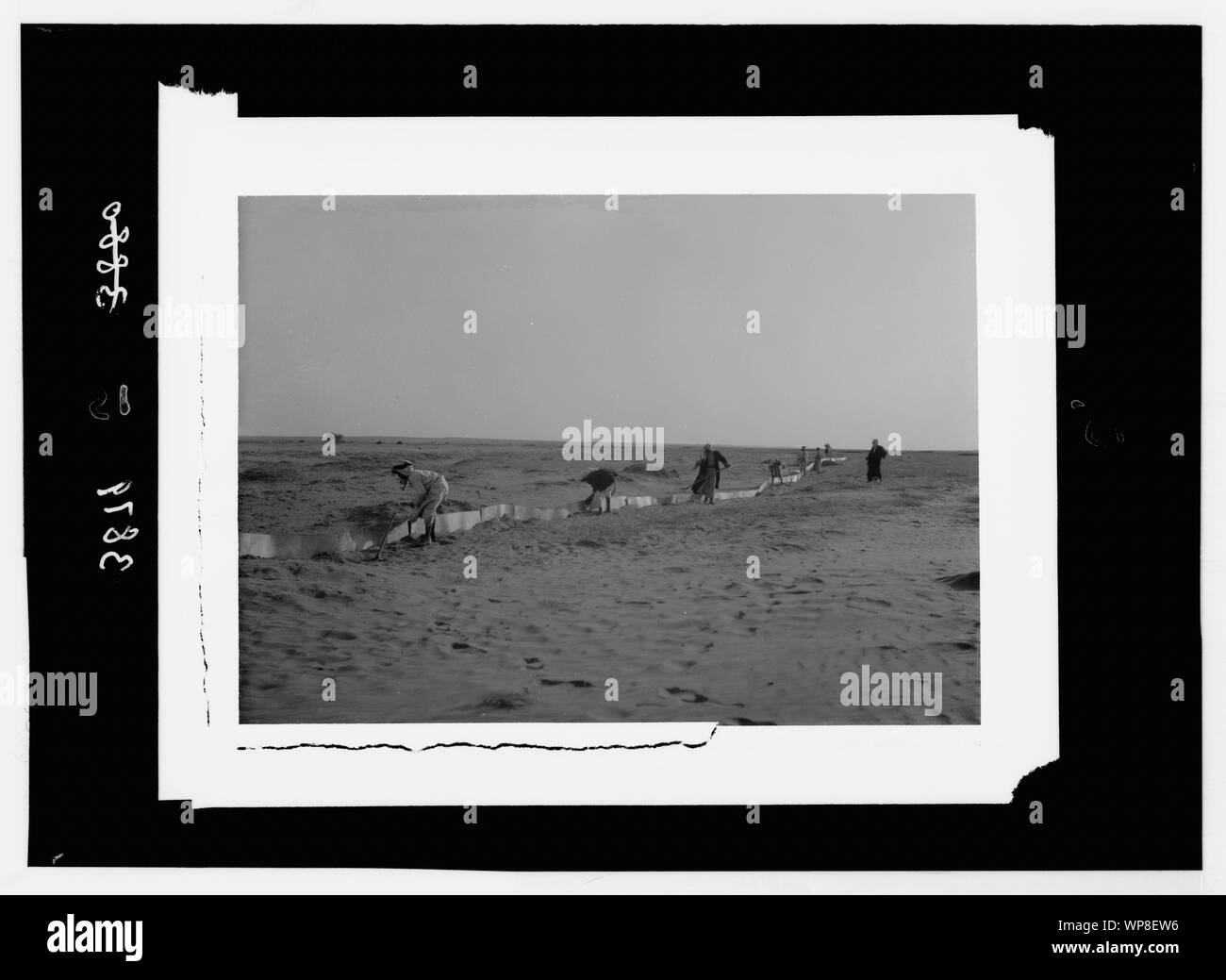 Locust plagues in Palestine. Methods of fighting the locust plague ...