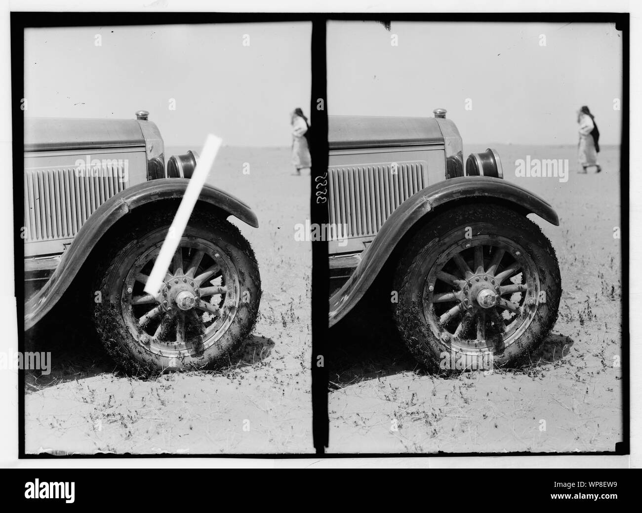 Locust plagues in Palestine. Methods of fighting the locust plague ...