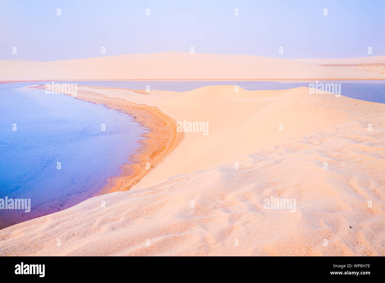 Desert at sunrise, golden hue before the sun rises over Sealine Desert ...