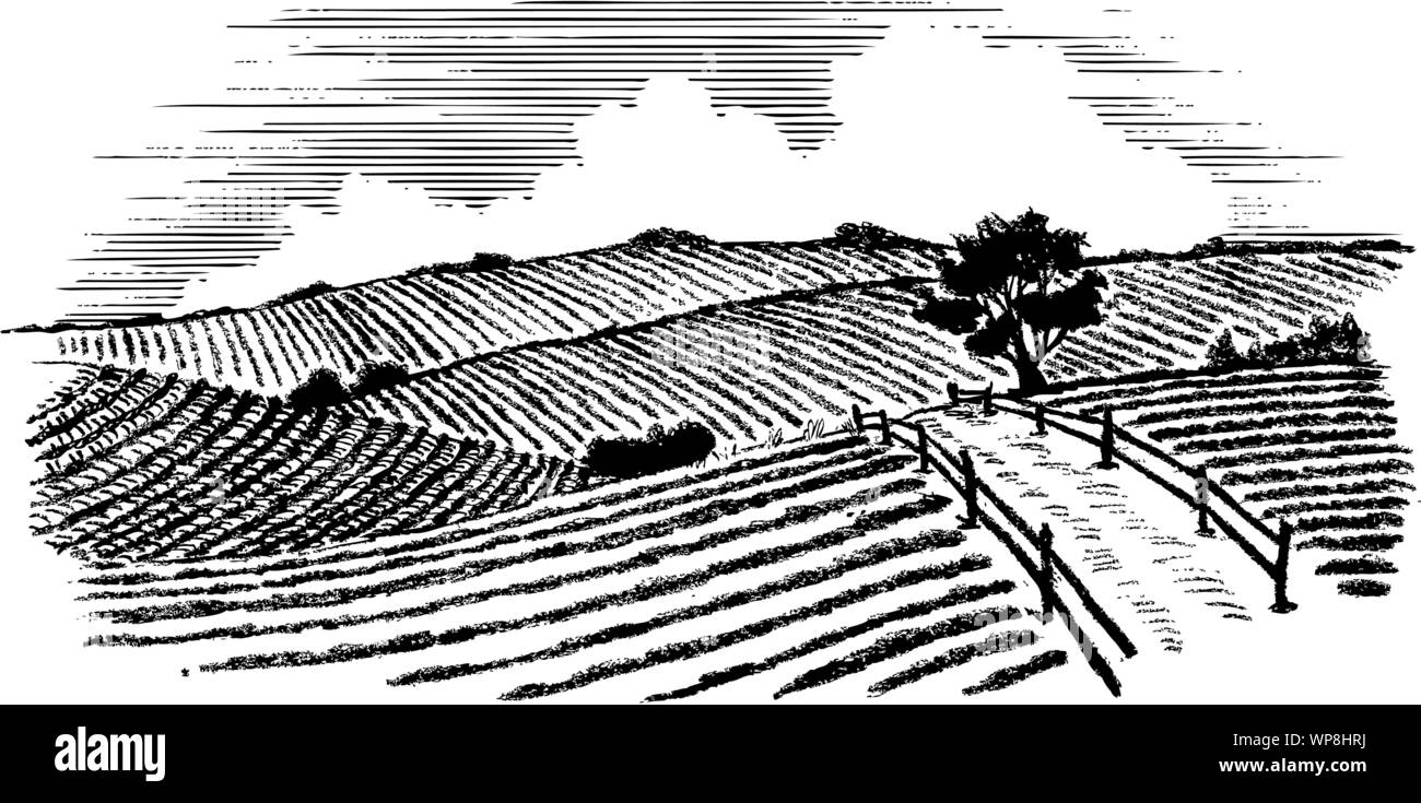 Road through farm Stock Vector Images - Alamy