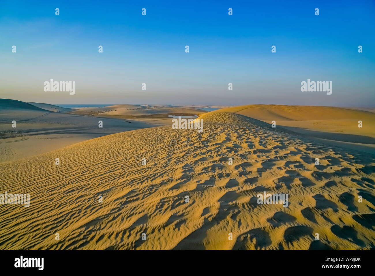 Desert at sunrise rolling wind rippled sand dunes under blue sky Stock ...