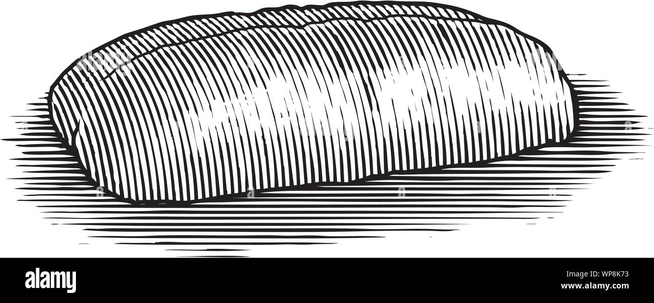 Woodcut illustration of an Italian loaf of bread Stock Vector Image ...