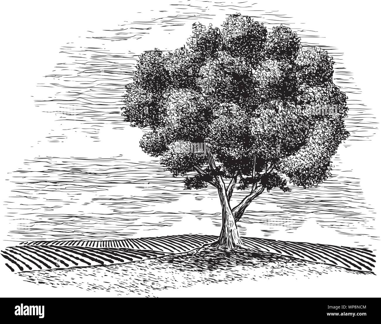 Woodcut illustration of a rural countryside with a tree in the ...
