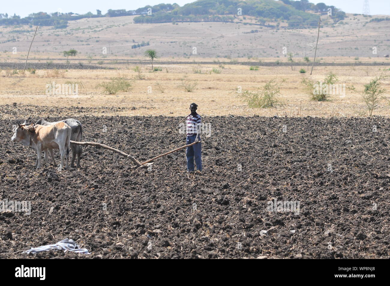 Man at work in a field Stock Photo - Alamy