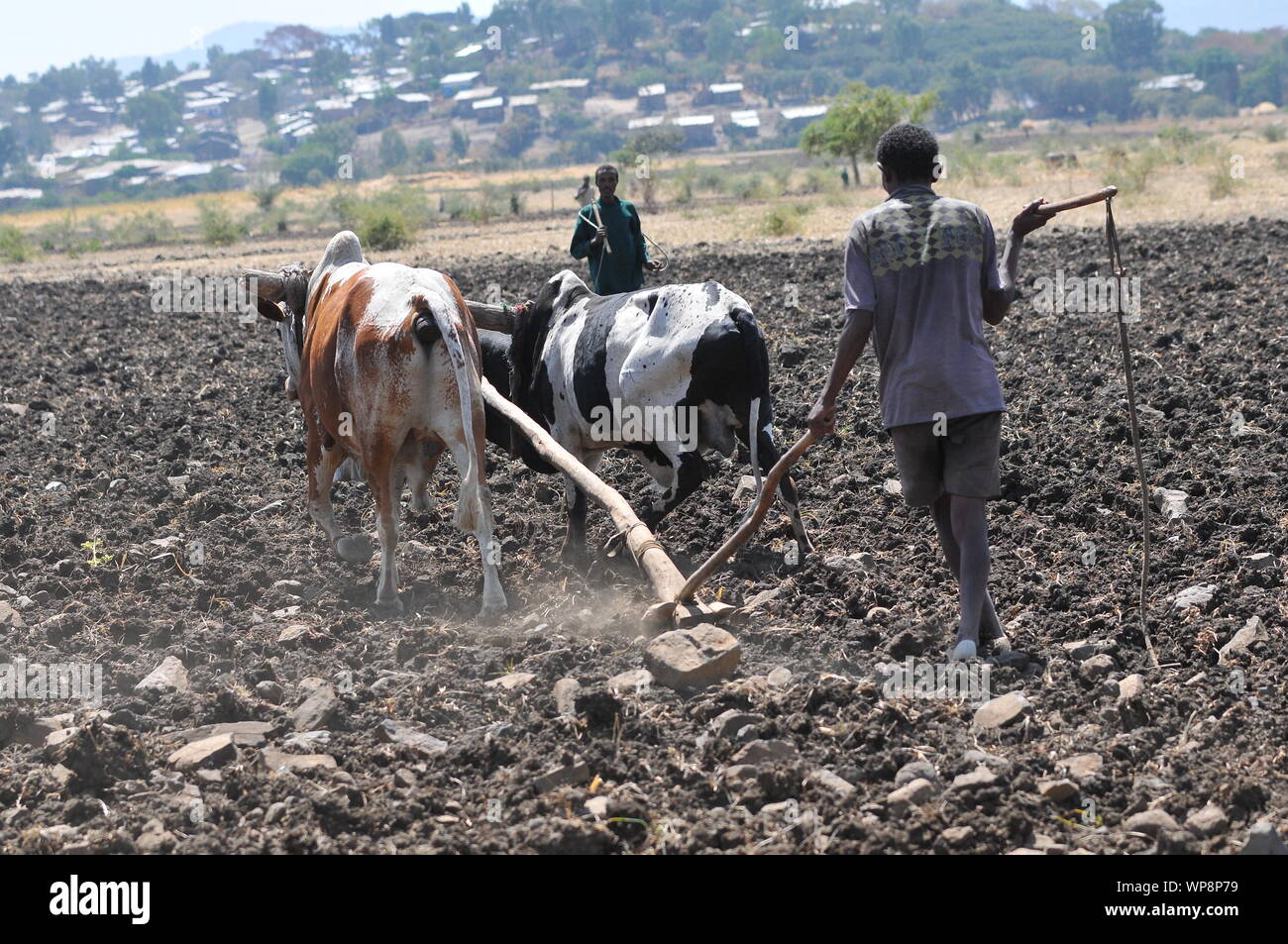 Man at work in a field Stock Photo - Alamy