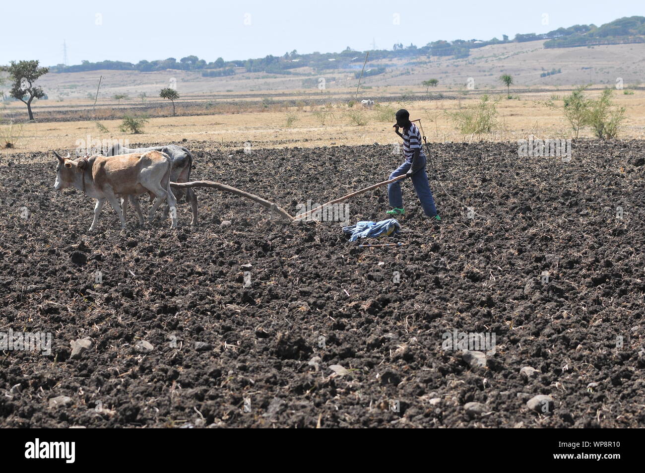 Man at work in a field Stock Photo - Alamy