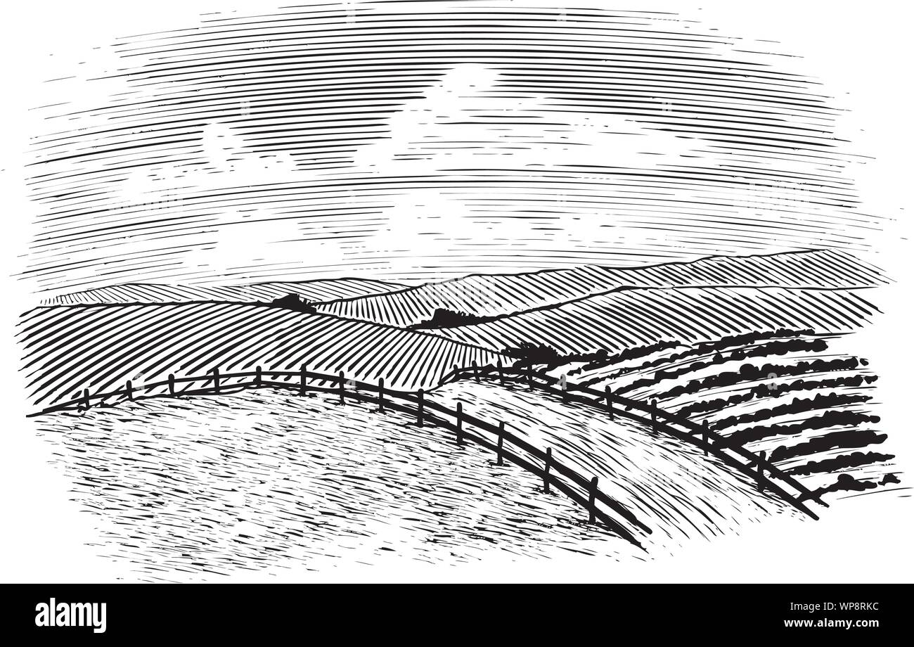 Agriculture crops road Stock Vector Images - Alamy