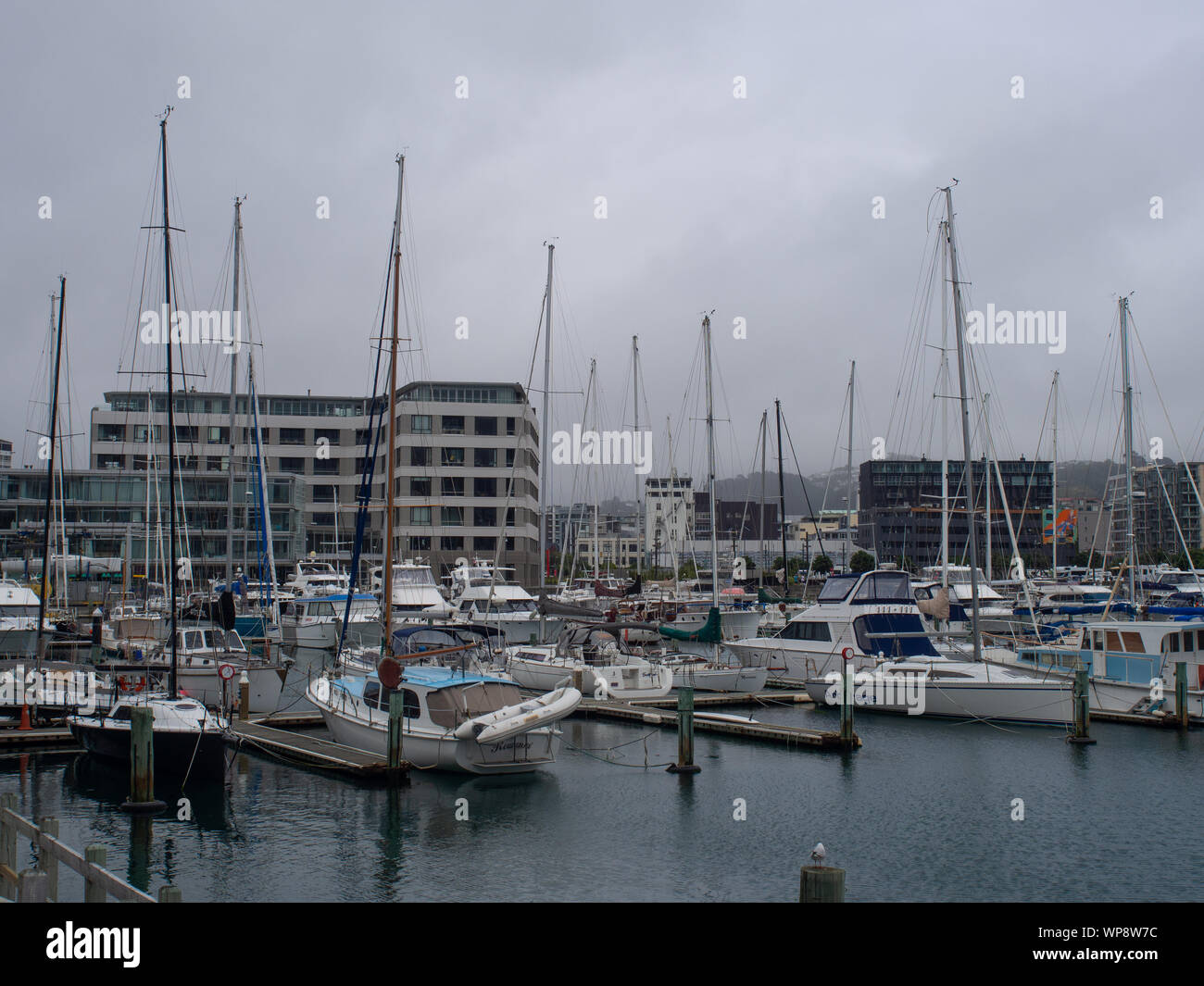 Yachts in chaffers marina hi-res stock photography and images - Alamy